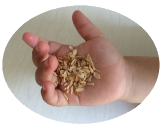 Sustainable - tpinyeccion